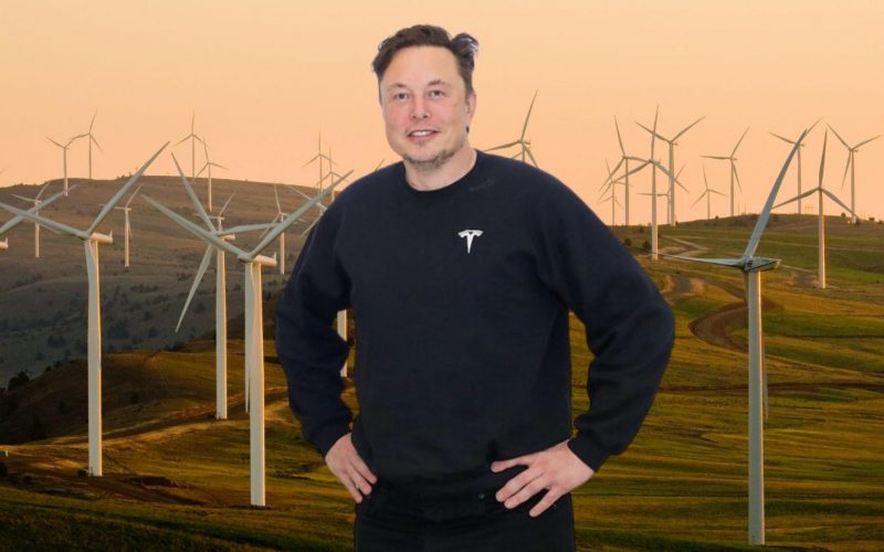 About 25% Of US Electricity Comes From Renewable Energy Sources: Elon ...