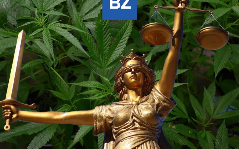 Harassment Lawsuit Puts Jay Zs Cannabis Brand In The Eye Of The Storm